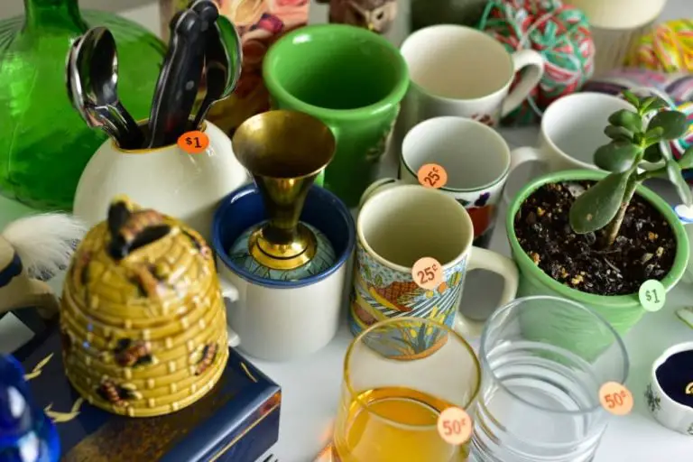 How to Get Houseplants for Free (Or Really Cheap) - The Leafy Little Home