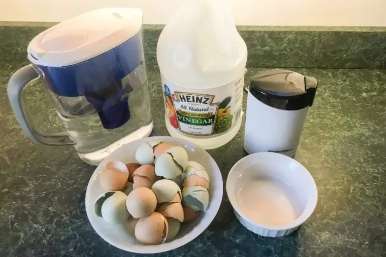 How to Make Water Soluble Calcium Eggshell Fertilizer - The Leafy ...