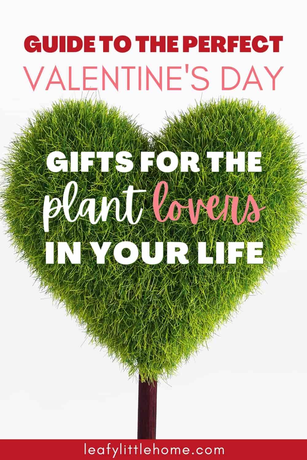 Best Valentine's Day Gifts for Plant Lovers - The Leafy Little Home