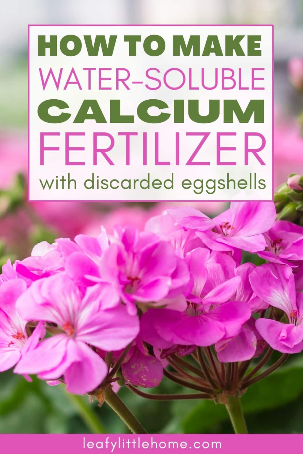 How to Make Water Soluble Calcium Eggshell Fertilizer - The Leafy ...