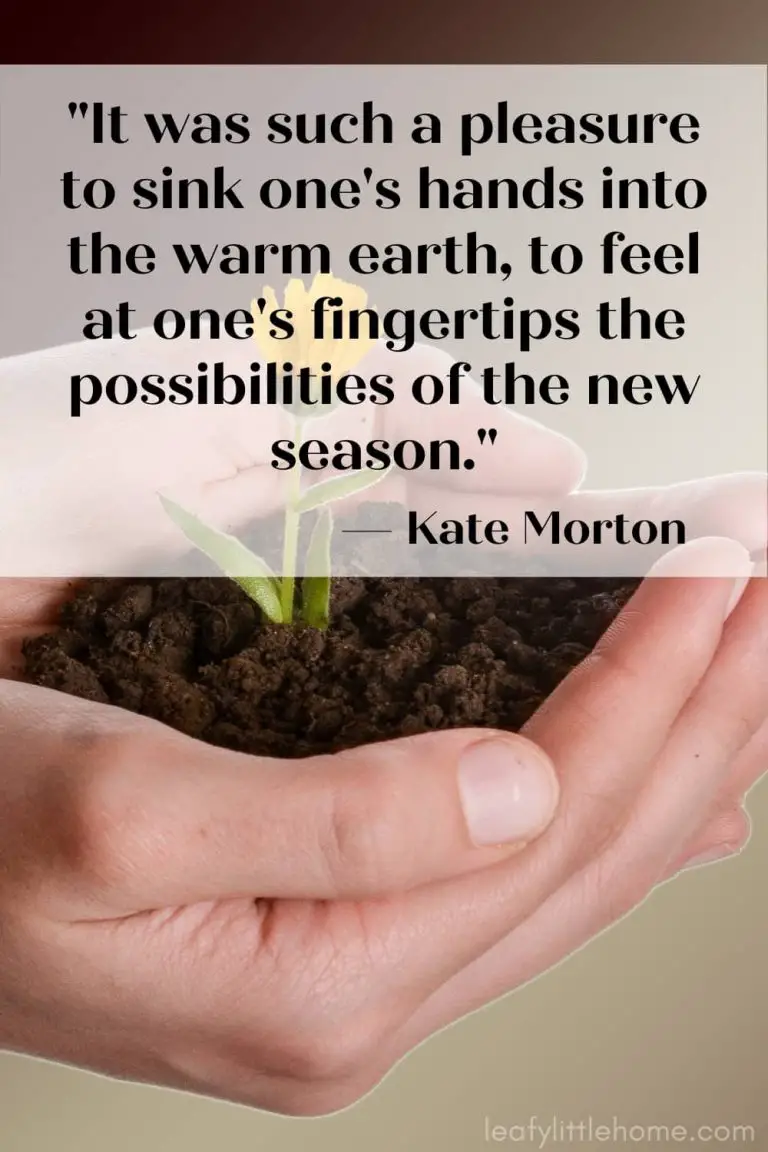 27 Inspirational Gardening Quotes (With Photos) - The Leafy Little Home