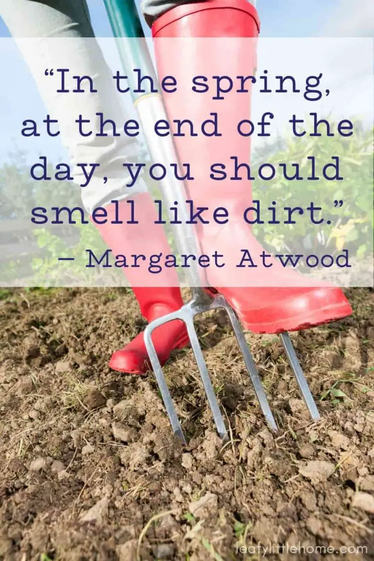 27 Inspirational Gardening Quotes (With Photos) - The Leafy Little Home