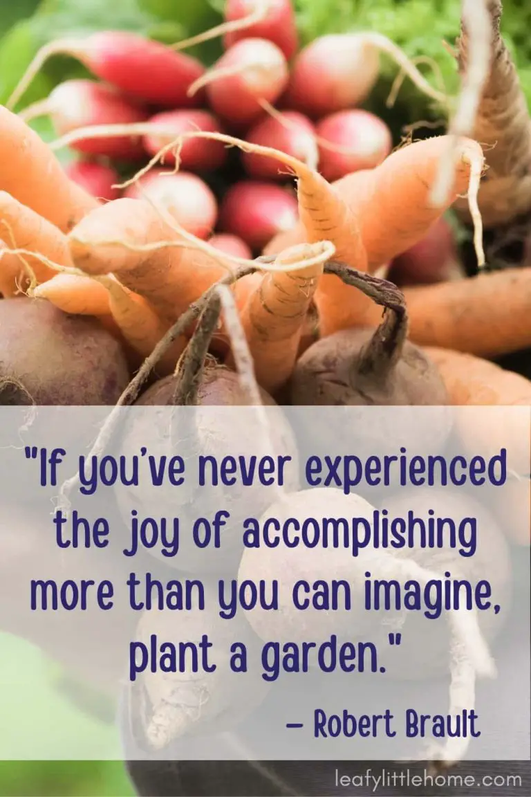 27 Inspirational Gardening Quotes (With Photos) - The Leafy Little Home