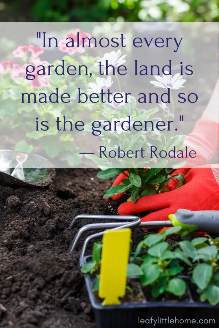 27 Inspirational Gardening Quotes (With Photos) - The Leafy Little Home